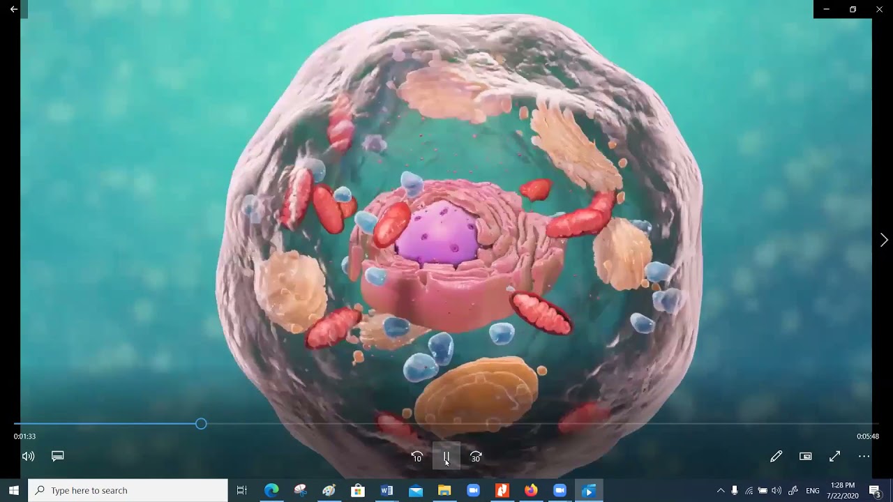 AS Biology Cell Structure Part 3 YouTube AS Biology Cell Structure Part 3 YouTube