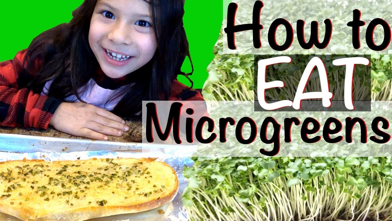 How to Eat Microgreeens / Simple and Delicious Microgreen Recipes for ...