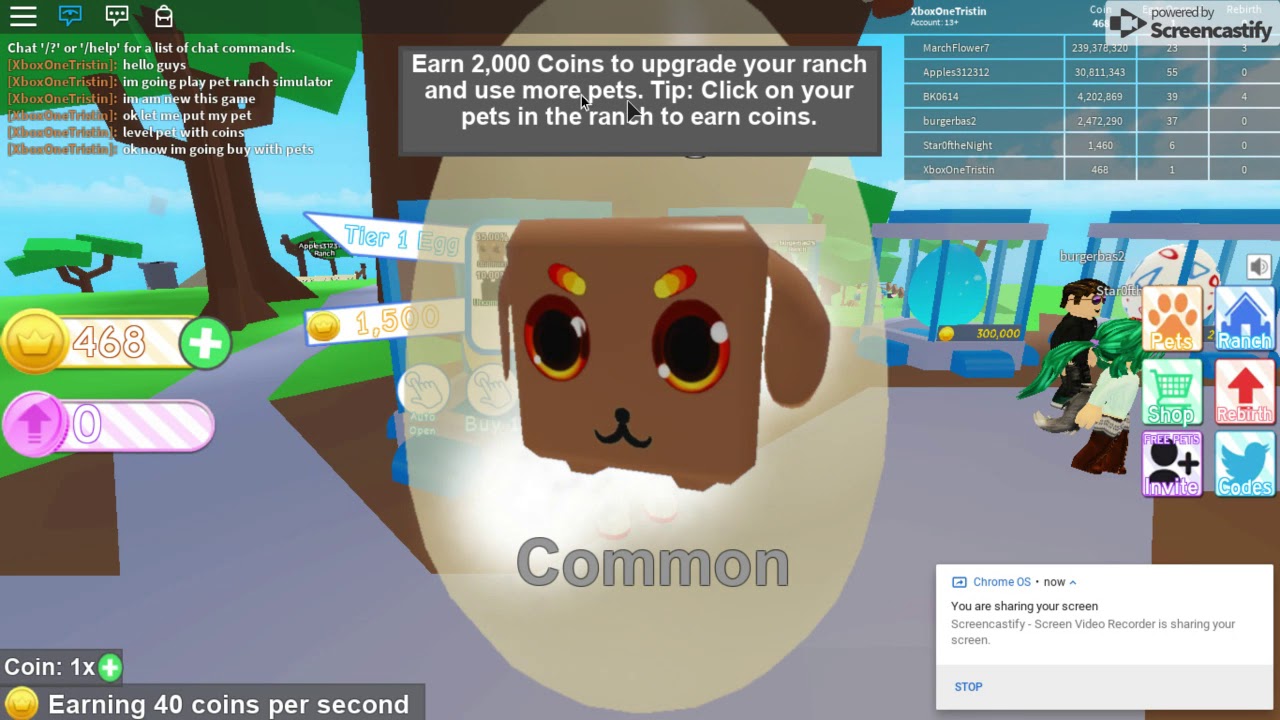 IM playing Game - Roblox Pet Ranch Simulator - YouTube