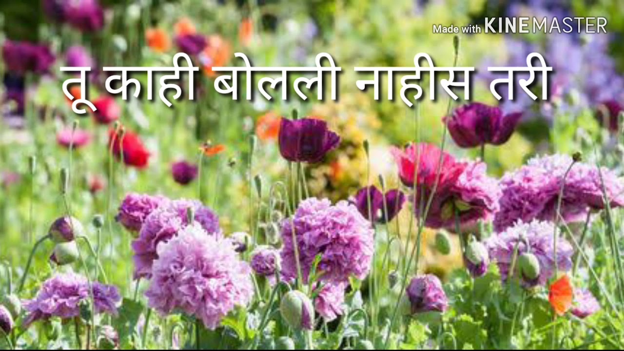 Marathi Charolya - YouTube