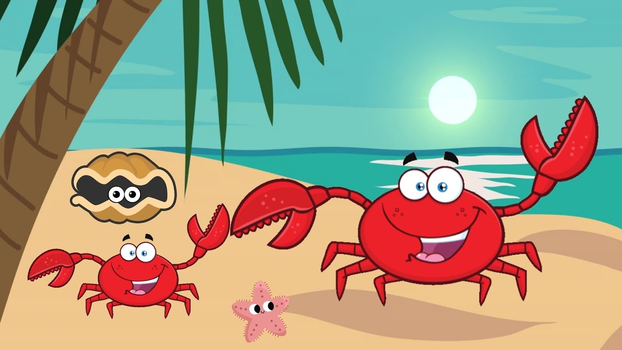 Crabs Walking Song for Kids | Learn Big and Small - YouTube