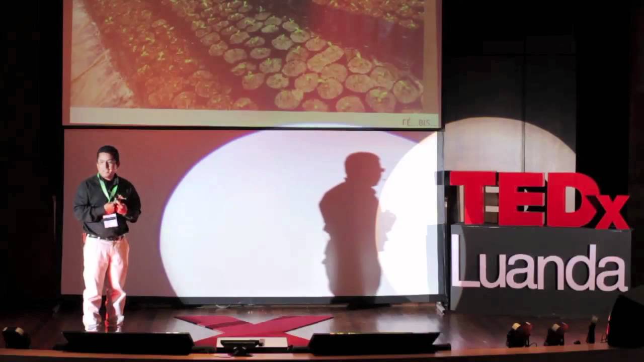 Agrónomo: Clemes Alves Fernandes at TEDxLuanda - YouTube