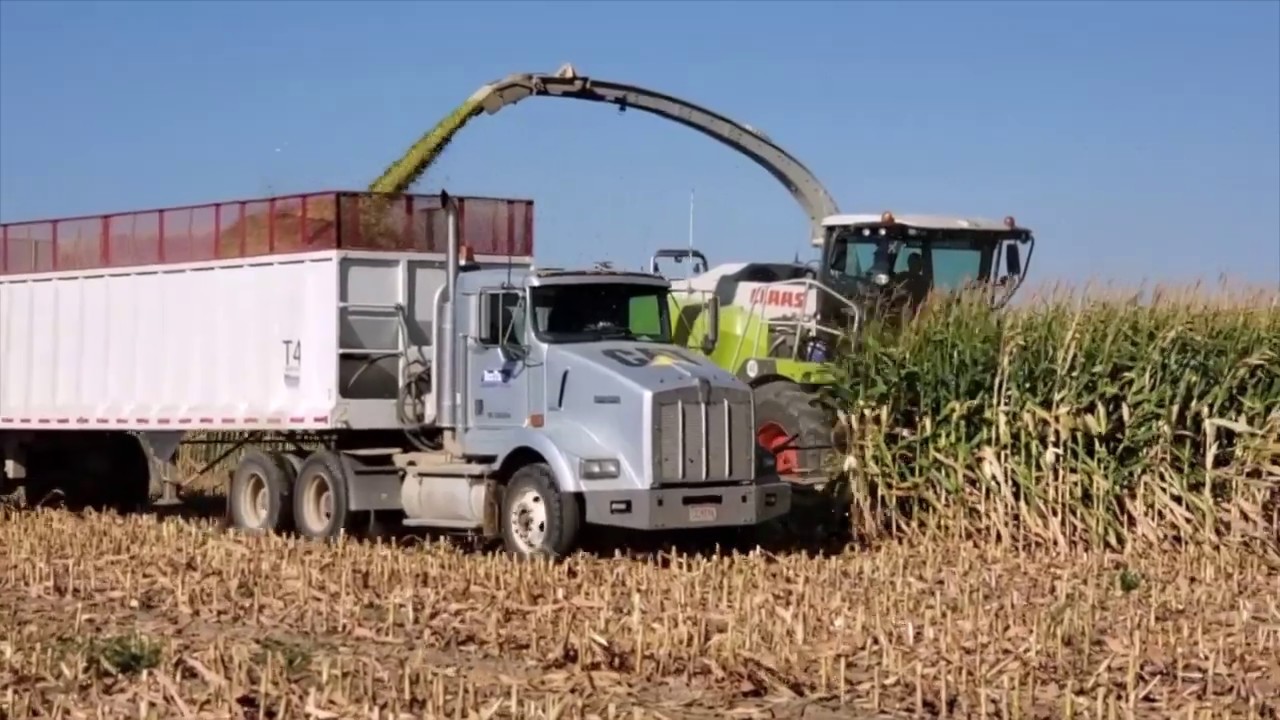 Wertz Farm Corn Harvest - YouTube