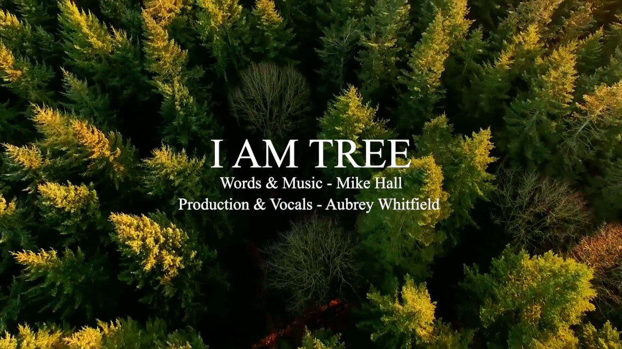 I AM TREE - Words and Music - Mike Hall - YouTube