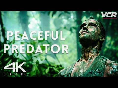 Peaceful Predator... | NATURE RELAXATION FILM 4K