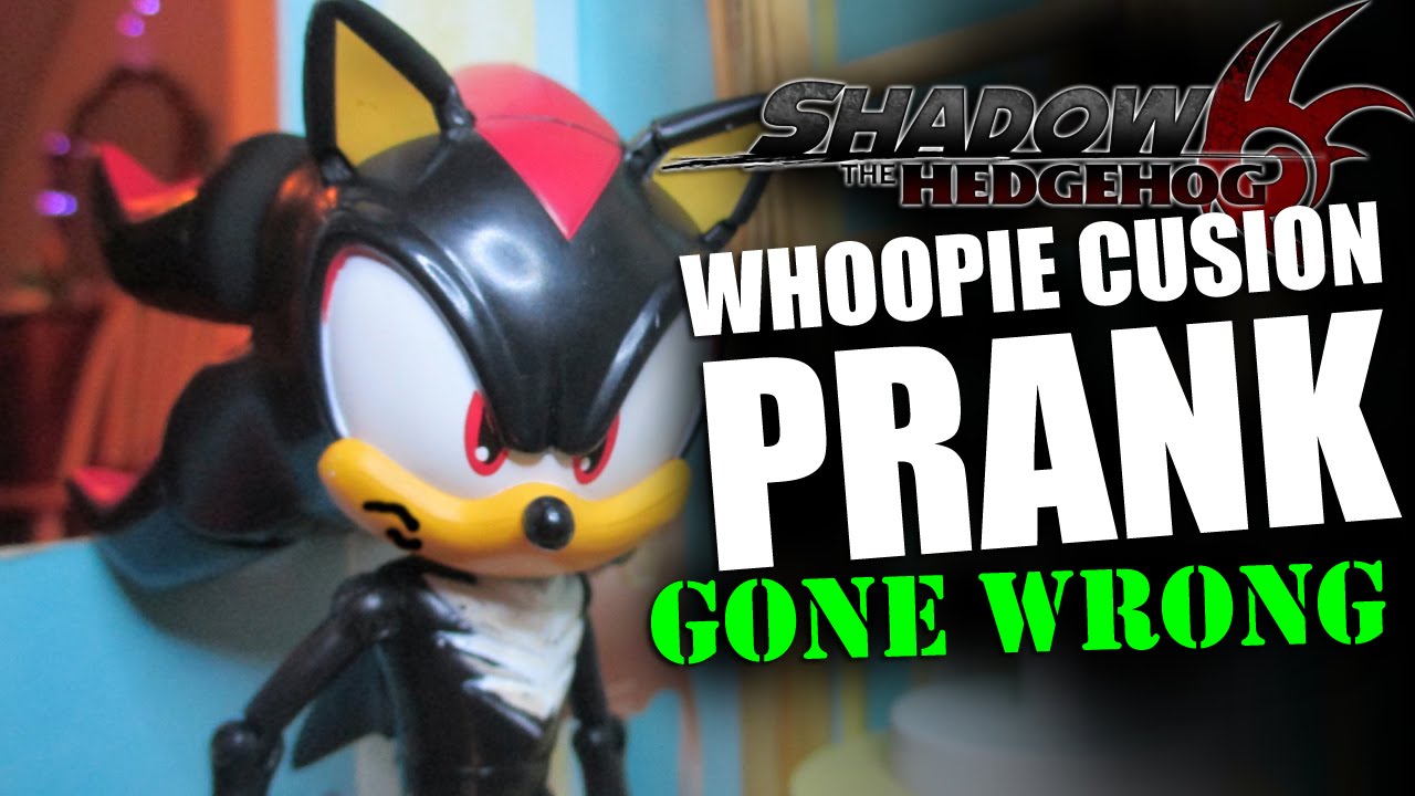 Silver The Hedgehog - Whoopee Cushion Prank GONE WRONG - Oh Crap! - YouTube