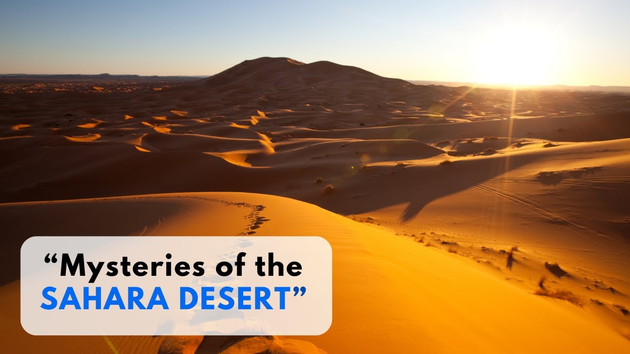 Mysteries of the Sahara Desert | A short Documentary | Facts, life ...