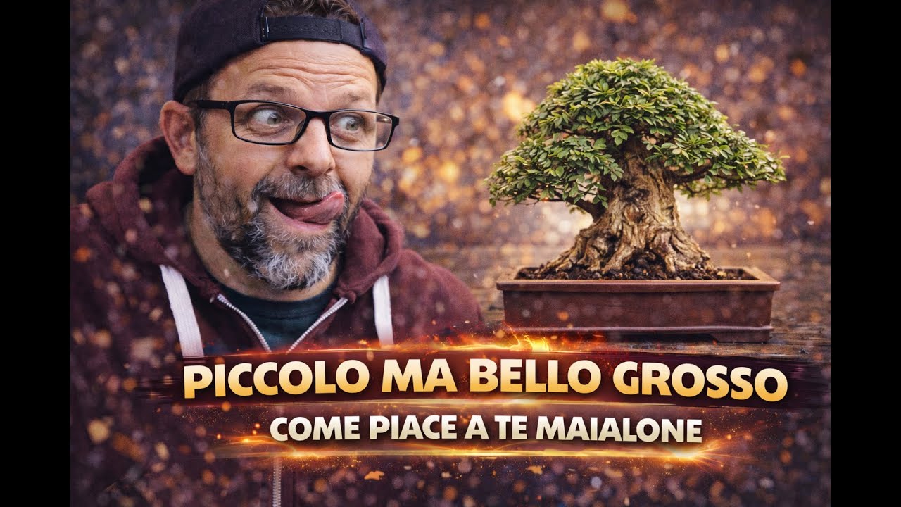 PICCOLO MA BELLO GROSSO COME PIACE A TE MAIALONE - YouTube