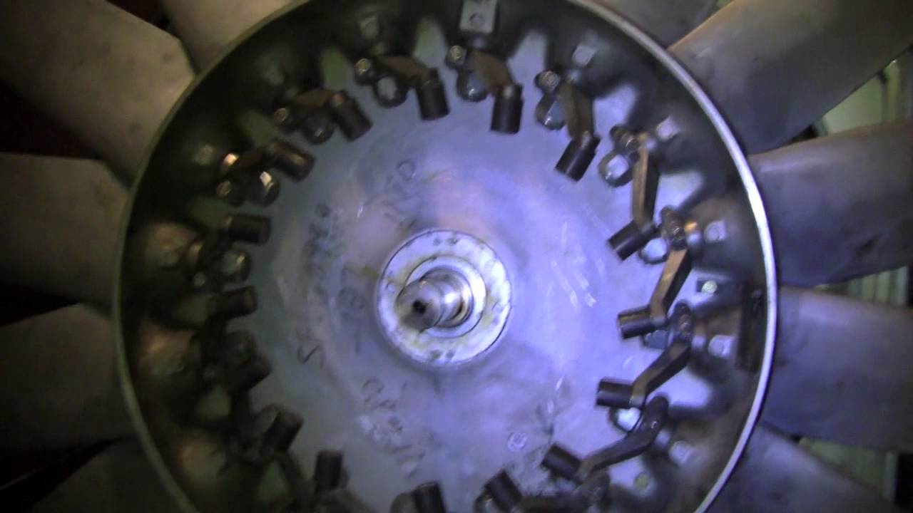 joy fan part 2 - YouTube