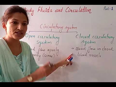 BODY FLUIDS AND CIRCULATION: INTRODUCTION (NCERT/NEET) CLASS XI - PART ...