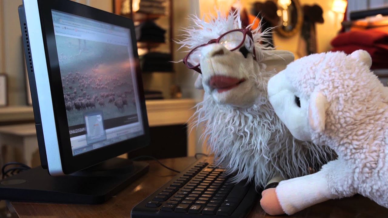 The Campaign for Wool - Episode 7 - YouTube