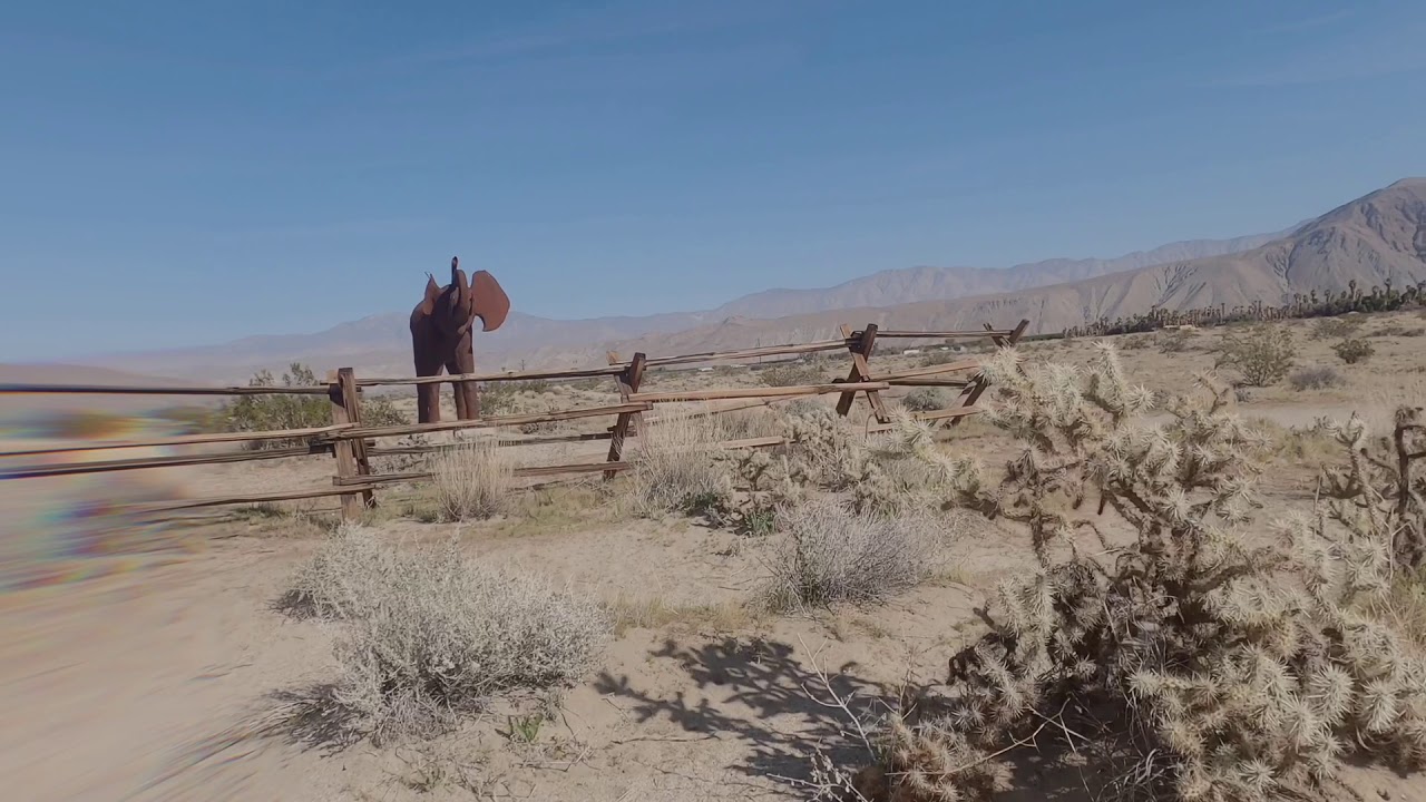 Elephant Terror! - YouTube
