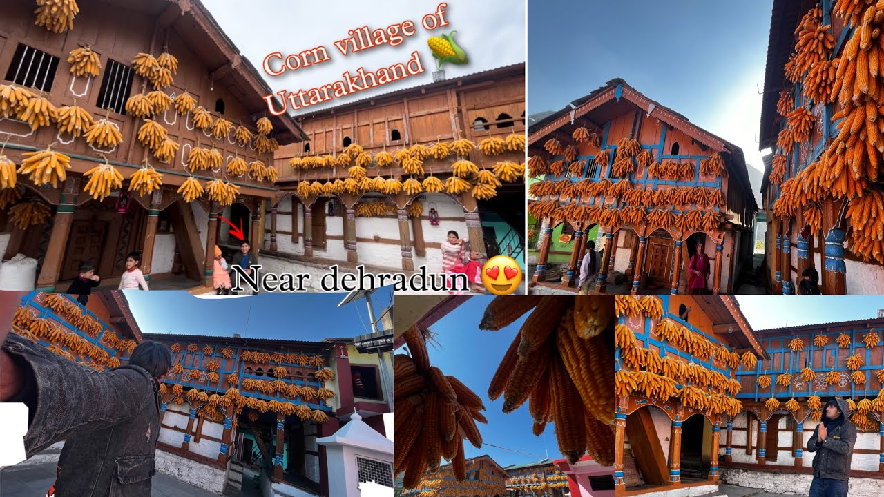 Corn village of Uttarakhand | Traveling vlog 1 | the Vijay Sharma # ...
