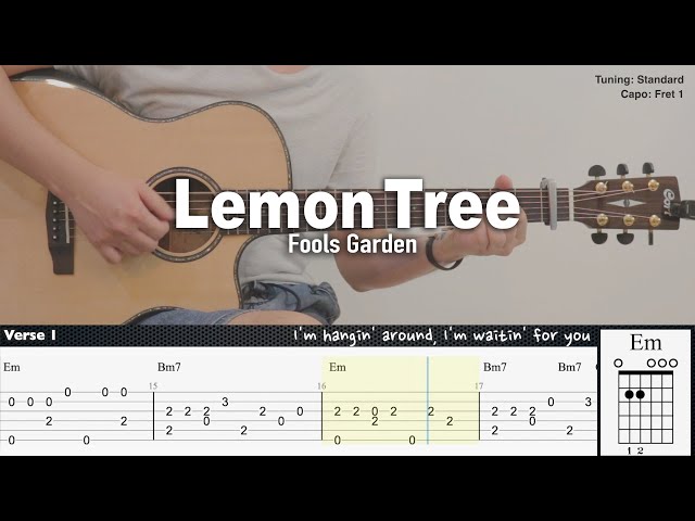 Lemon Tree Guitar Chords