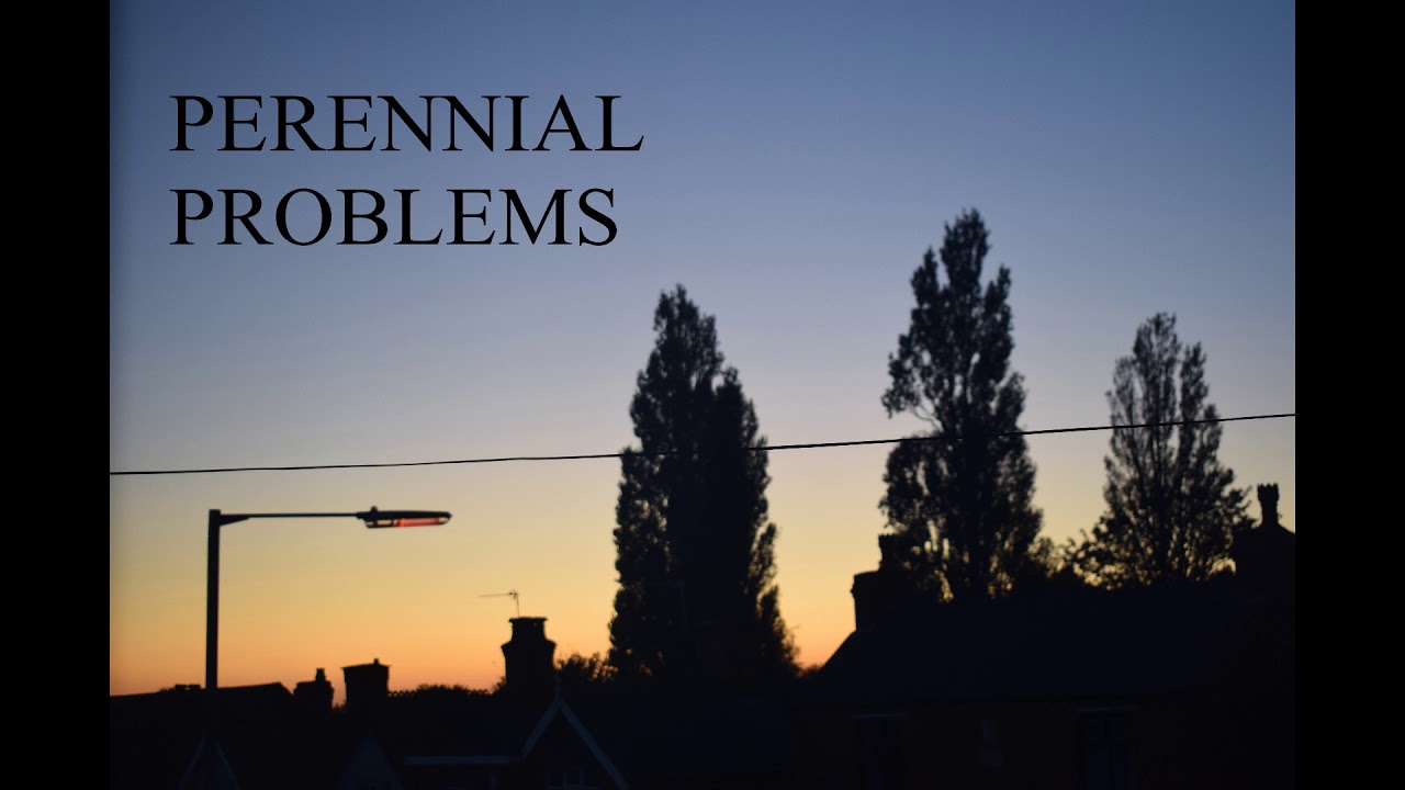 5) Perennial Problems - Perennial Problems - YouTube