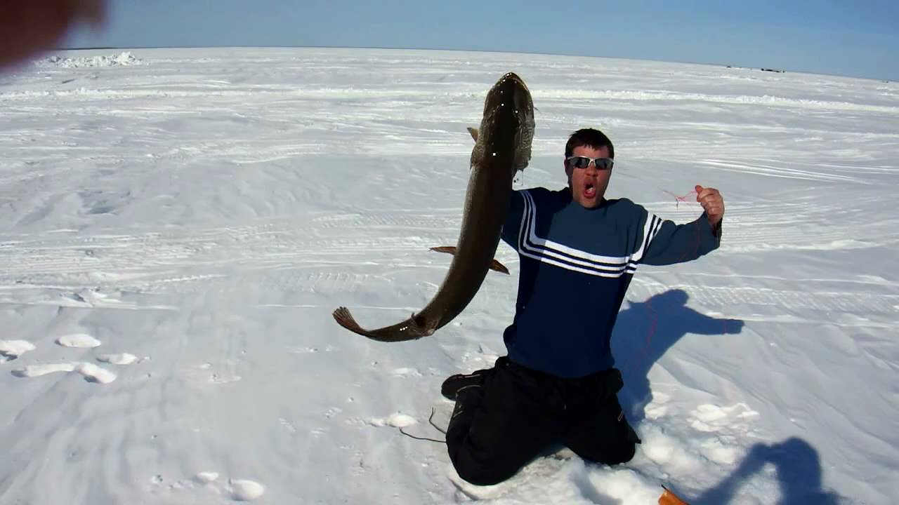 Tobin Pike 25 Pounds Ice fishing - YouTube