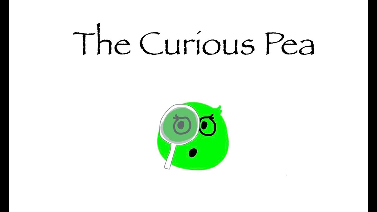 The Curious Pea - Short Stop Motion Animation - YouTube