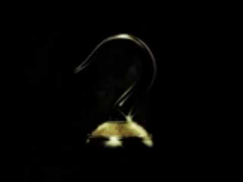 ÁLBUM GANCHO [REGULA] COMPLETO