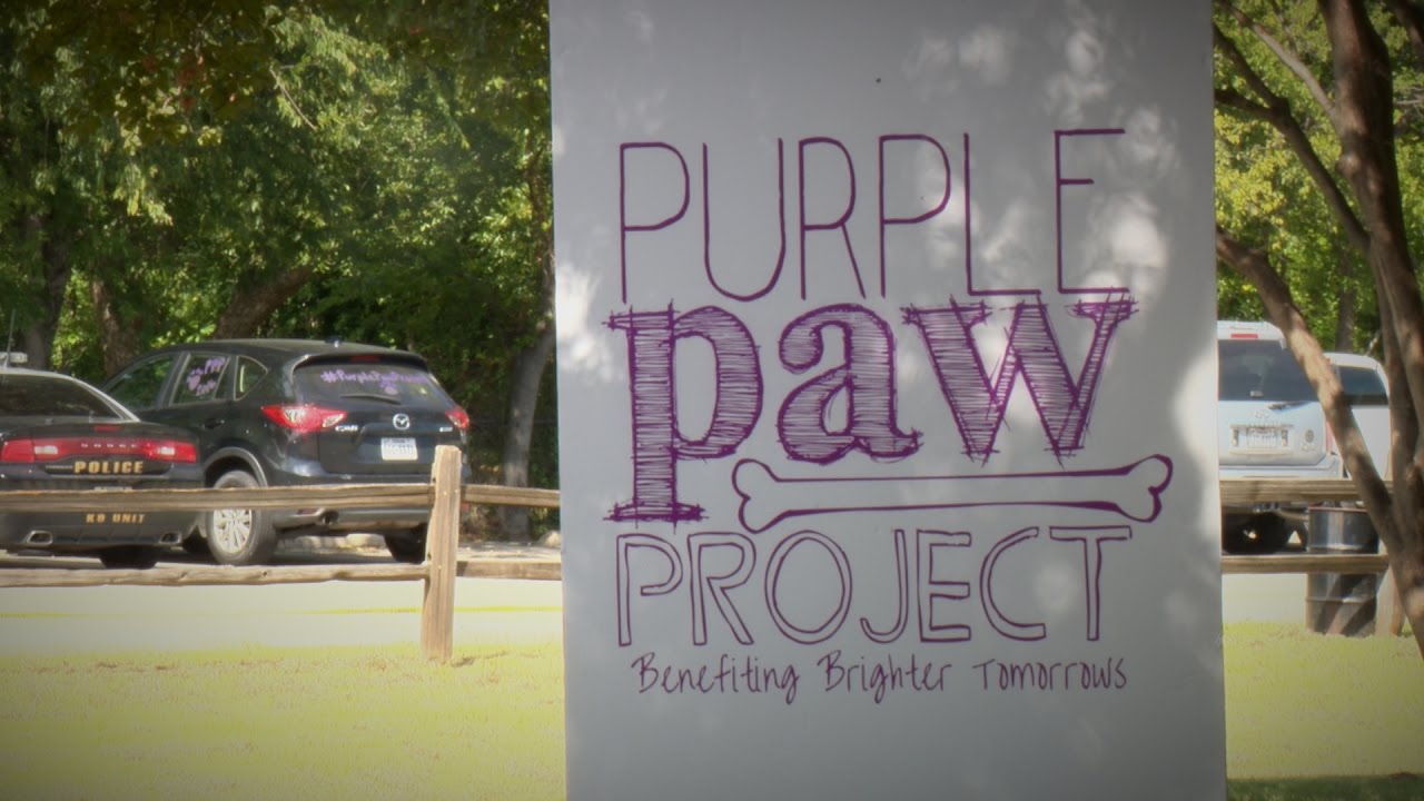 Purple Paw Project 2016 - YouTube