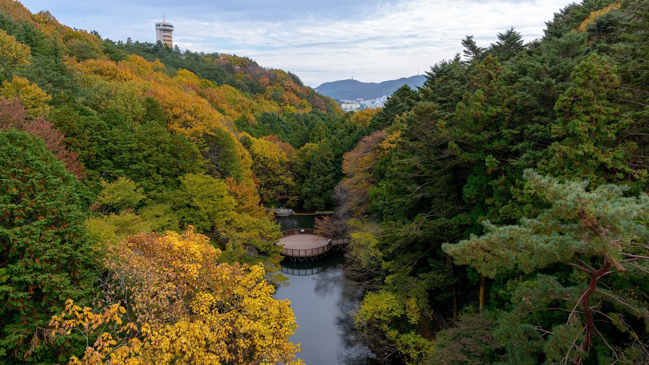 4K 타임랩스 부산 _ 부산의 가을, 범어사 의상대 & 성지곡수원지 Fall in Busan Timelapse. Busan ...
