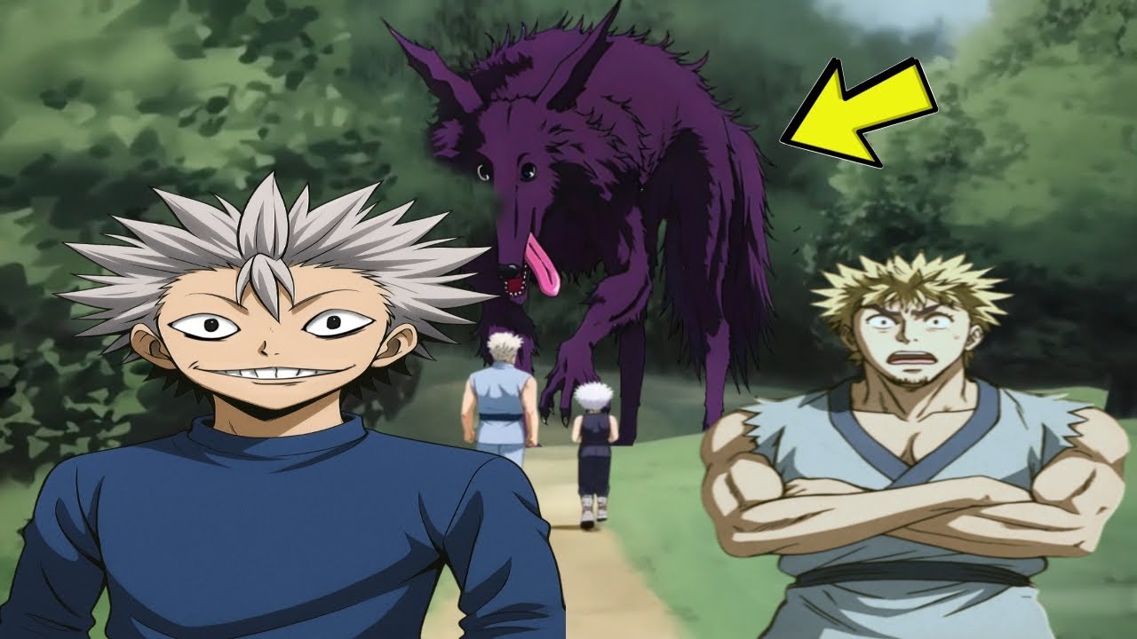 Zigg Zoldyck Theory Complete! #hunterxhunter - YouTube