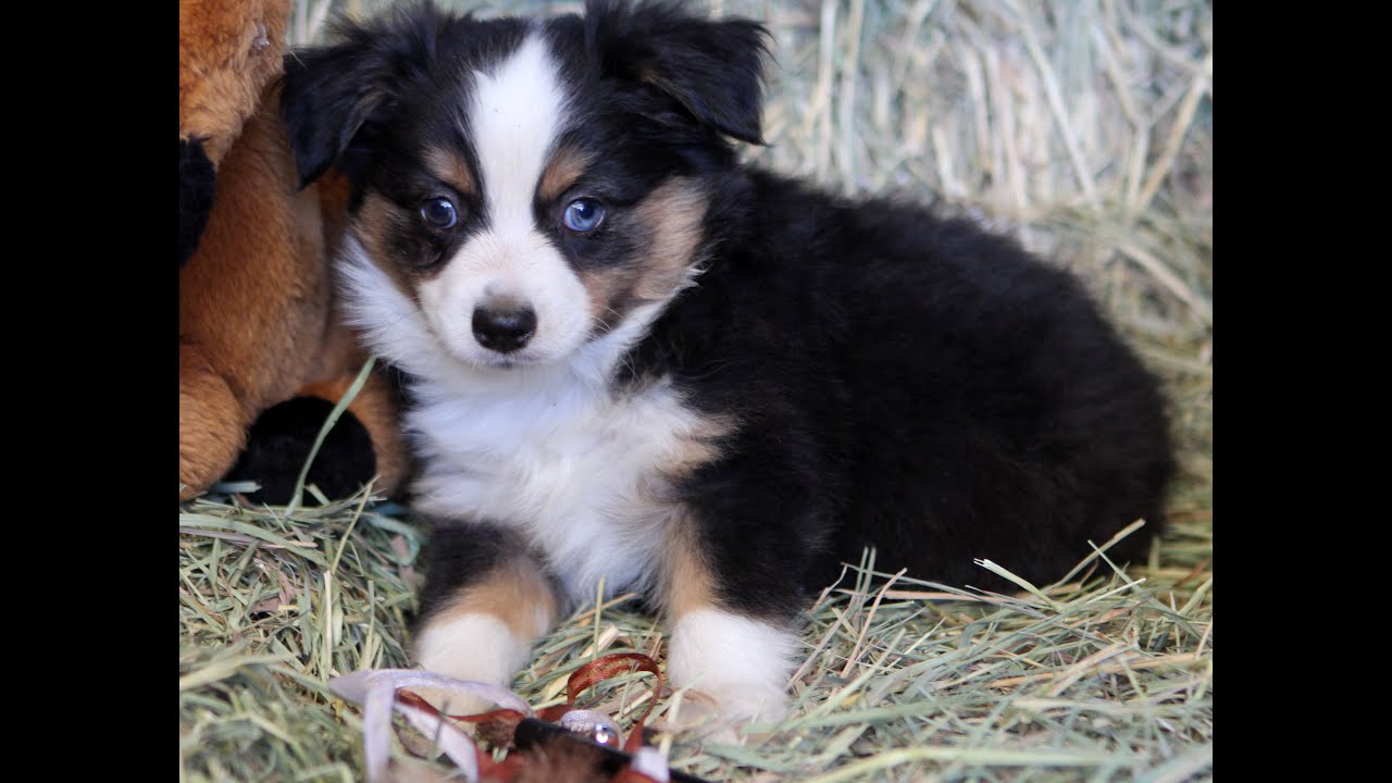 ARCHER 7 3 WK - YouTube