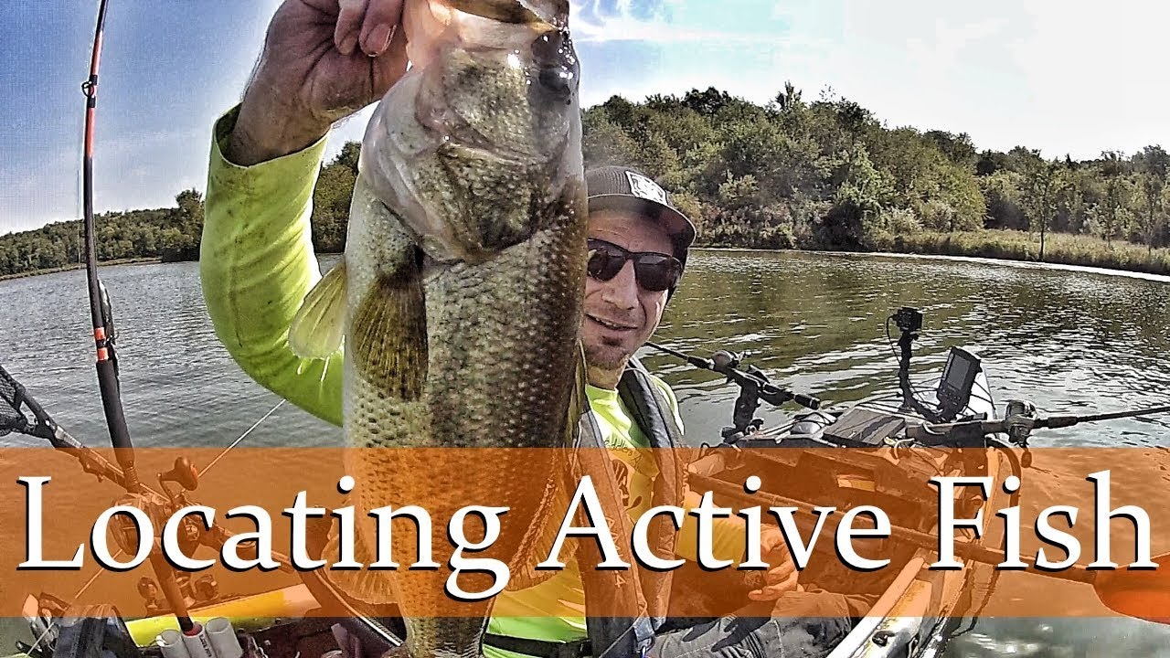 Tips For Locating Active Fish Quickly - YouTube