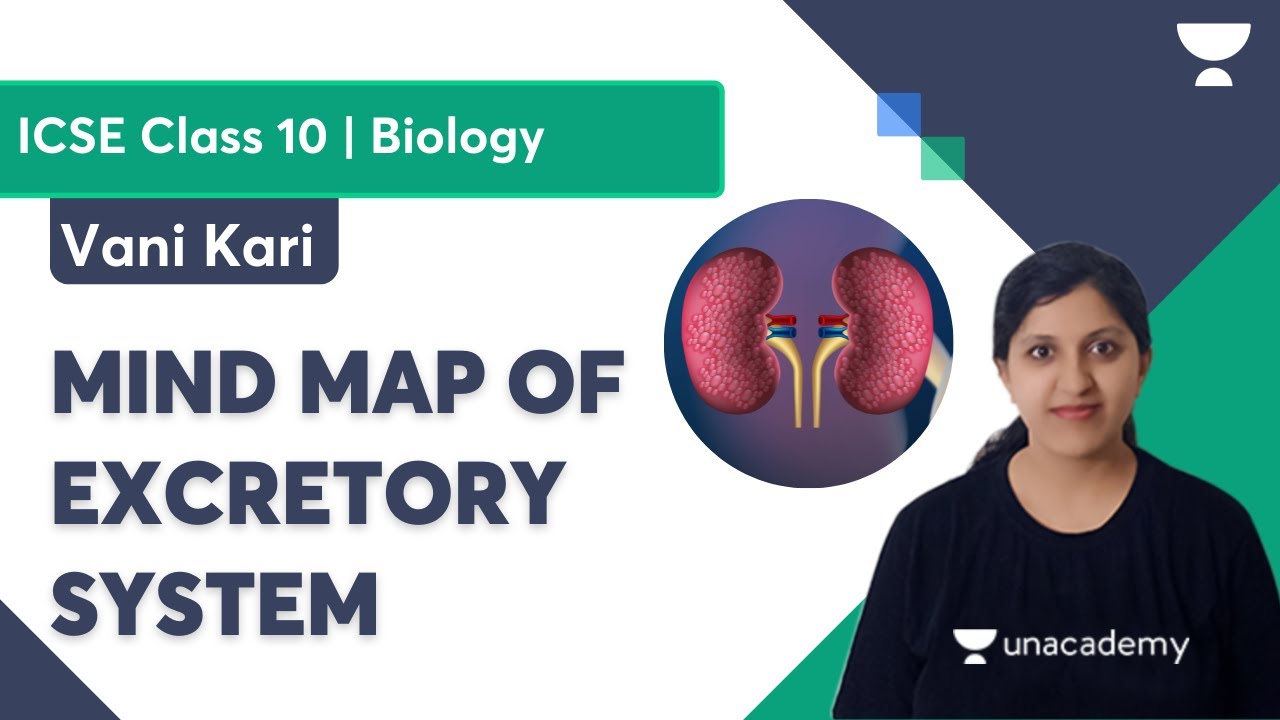 Mind Map on Excretory System | A Quick Way to Revise | Vani Kari - YouTube