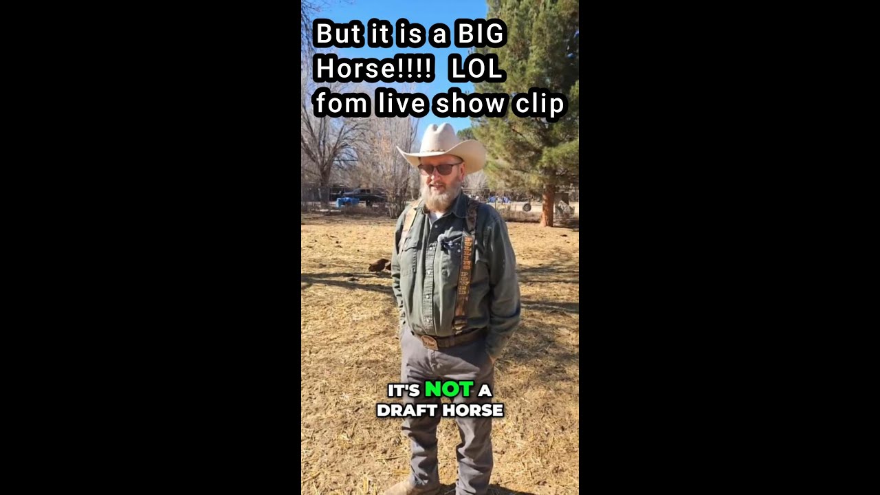 Yeah he is big!!!! LOL Clips from the live show!!!! ourlittletexasranch ...