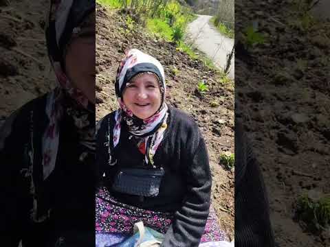 Kaynanacığım bugün tarlayı getirdim 