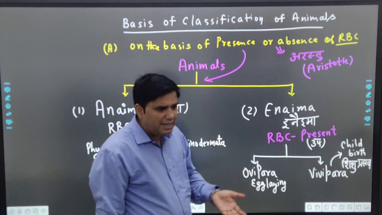 BSc part I//Zoology//Paper III//Basis of classification of Animals ...