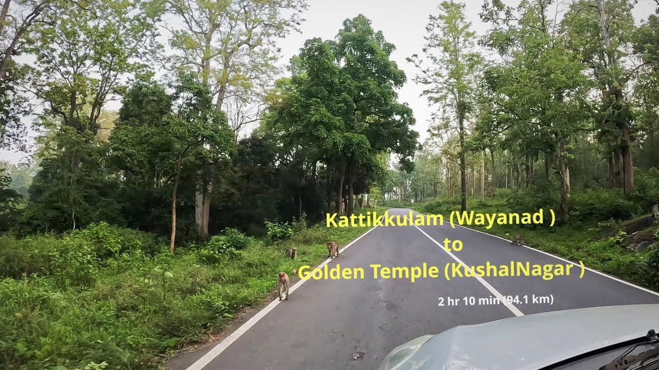 Kattikkulam, (Wayanad ) to golden temple (Karnataka ) - YouTube