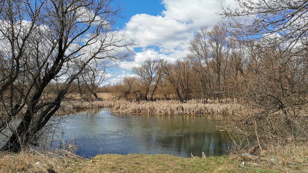 Рыбалка на речке. Fishing on the river. - YouTube