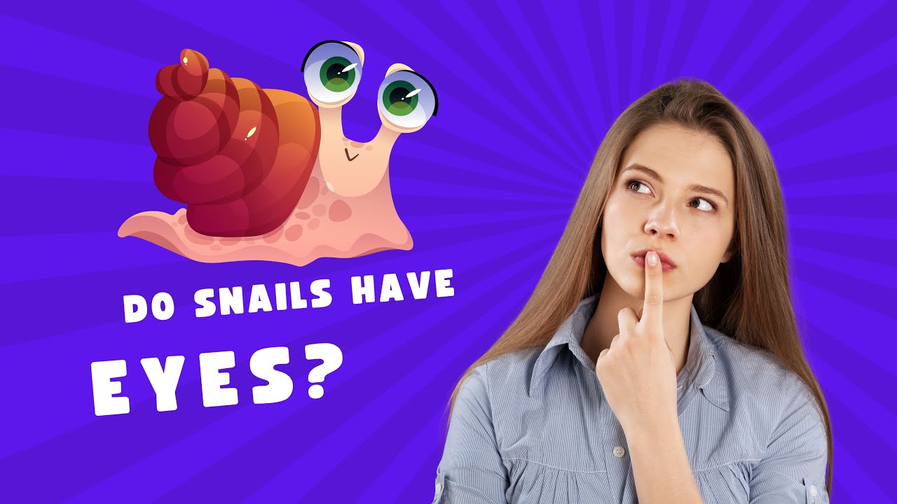 Do Snails Have Eyes? Discover the Hidden World of Snail Vision! - YouTube