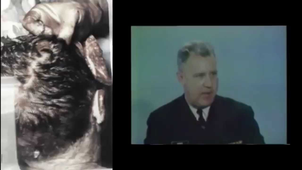 Famous Autopsy Photos Color