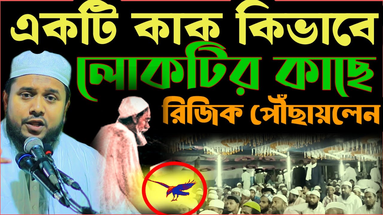 একটি কাক কিভাবে রিজিক পৌঁছায়লেন । আল্লাহর রহমতের ওয়াজ । নোমান ওয়াজ ...
