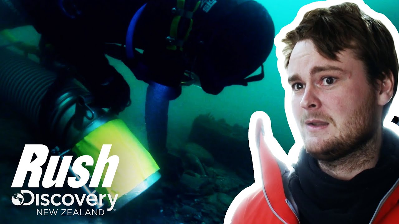 Gold Diver REFUSES To Go Into Deep Water After Having Nitrogen ...