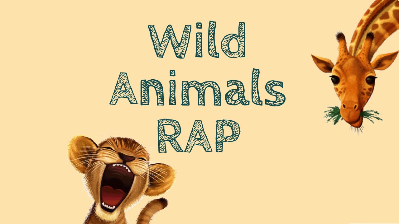 WILD ANIMALS RAP - 3rd grade students - YouTube