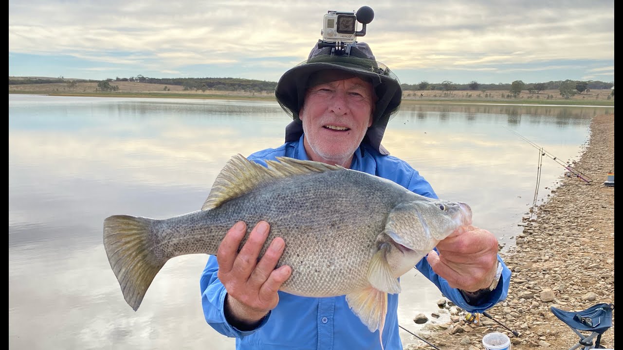 Bundaleer Reservoir - Part 2, several PB's #reservoirfishing #bundaleer ...