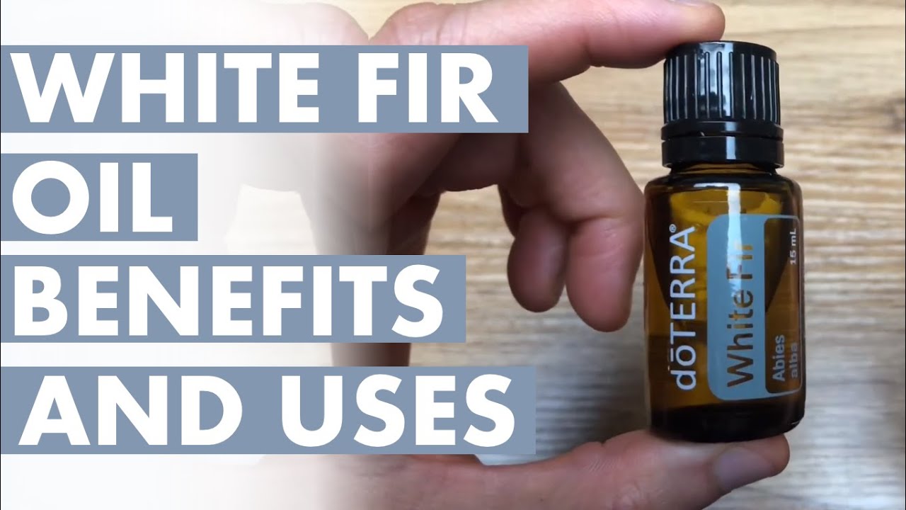 White Fir Essential Oil: Benefits And Uses Of This Festive Tree - YouTube
