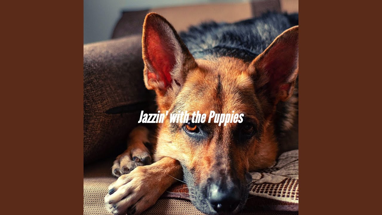 Glorious Moods for Dogs Taking It Easy - YouTube