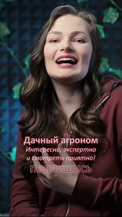 СРЕДСТВА от белокрылки ПРОВЕРЕНО - YouTube