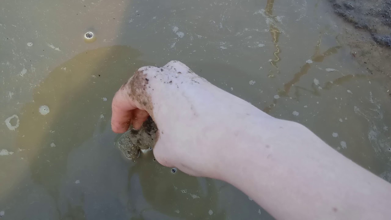 Playing with LPs is the water and mud - YouTube