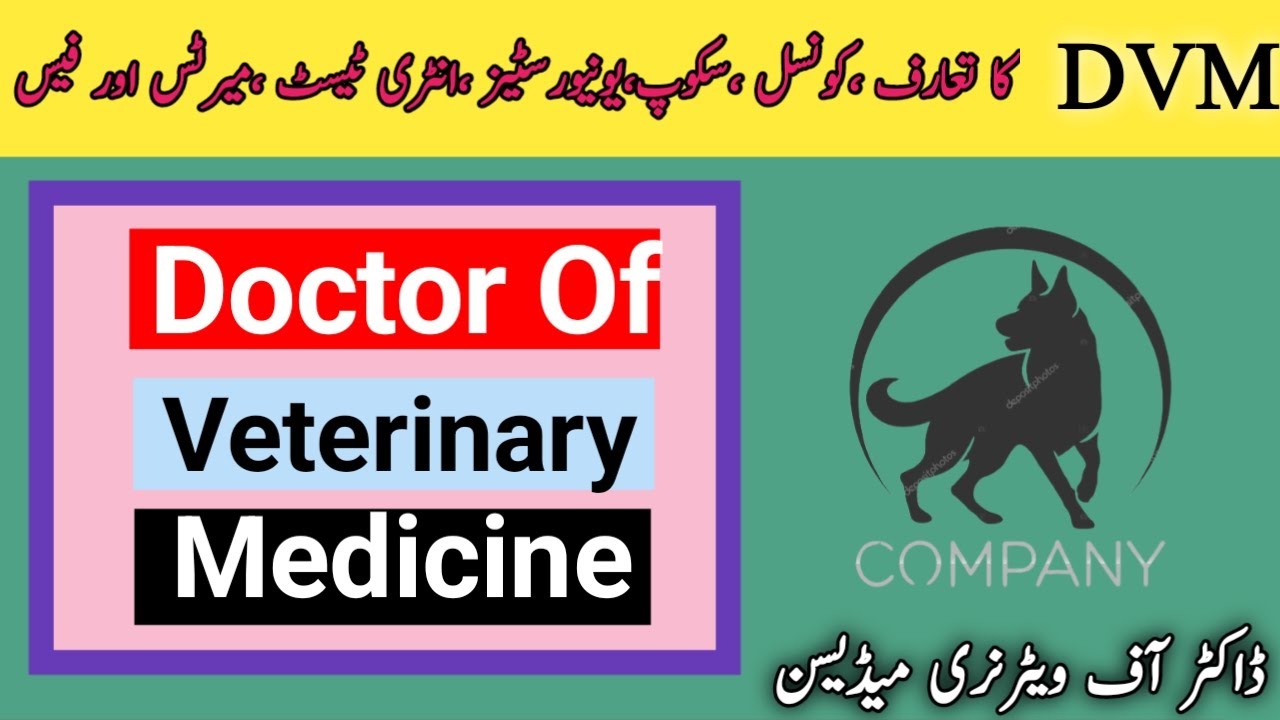 DVM | Scope of DVM in Pakistan | Unversities offering DVM | Doctor of ...