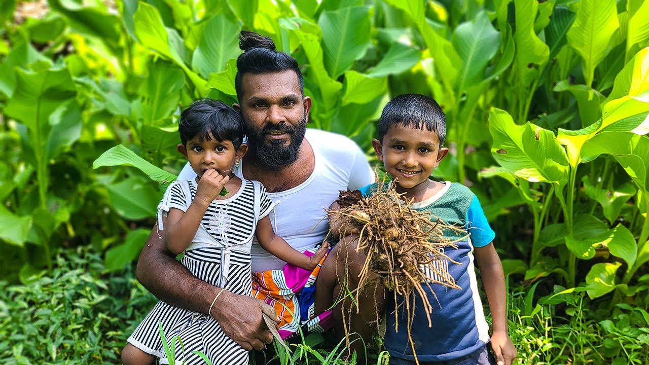 Amazing village foods | Buthsarana - Canna recipe in Rural village Sri ...