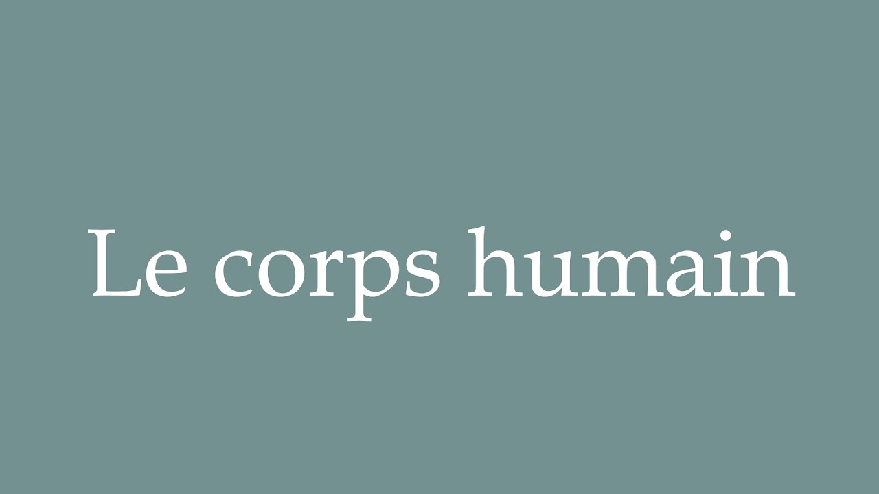 How to Pronounce ''Le Corps Humain'' (The Human Body) Correctly in ...