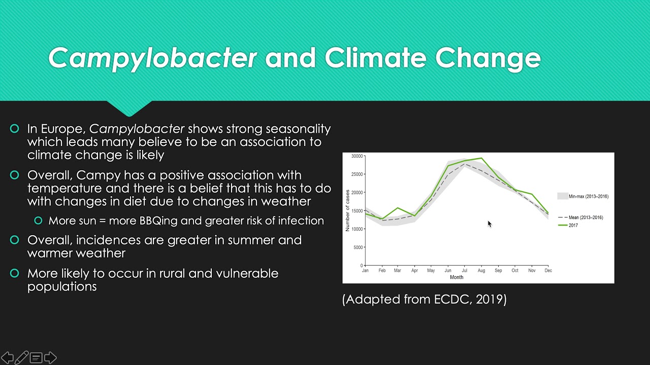 DeFilippis Role of Climate Change on Campylobacter in Europe - YouTube