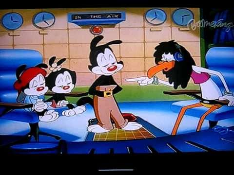 Animaniacs-Die Radiostörer - YouTube