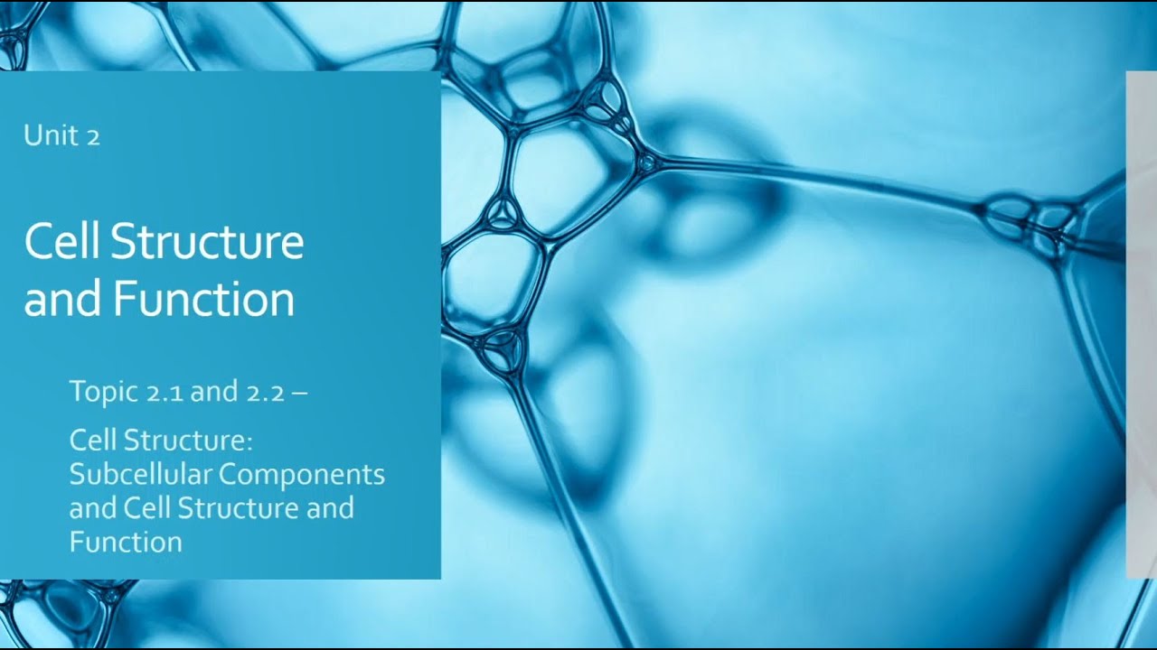 2.1 and 2.2 - Cell Structure: Subcellular Components, and Cell ...