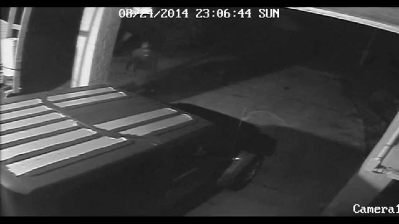 Thief Security Camera Video Thief Security Camera Video Footage Thief ...